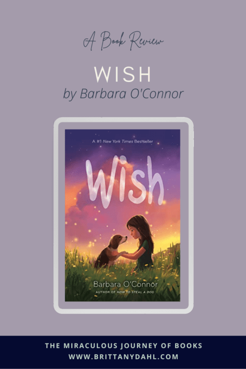 Wish by Barbara O'Connor - Book Review & Reading Guide - The Miraculous ...